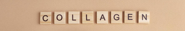 Gelatin vs Collagen | Brightcore - Brightcore Nutrition